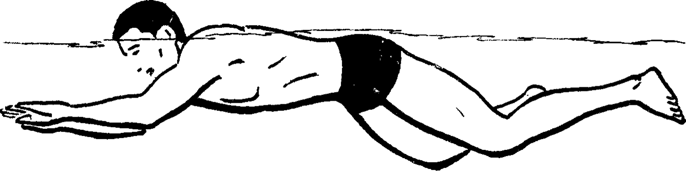 Como aprender Natación: Natación Estilo PECHO