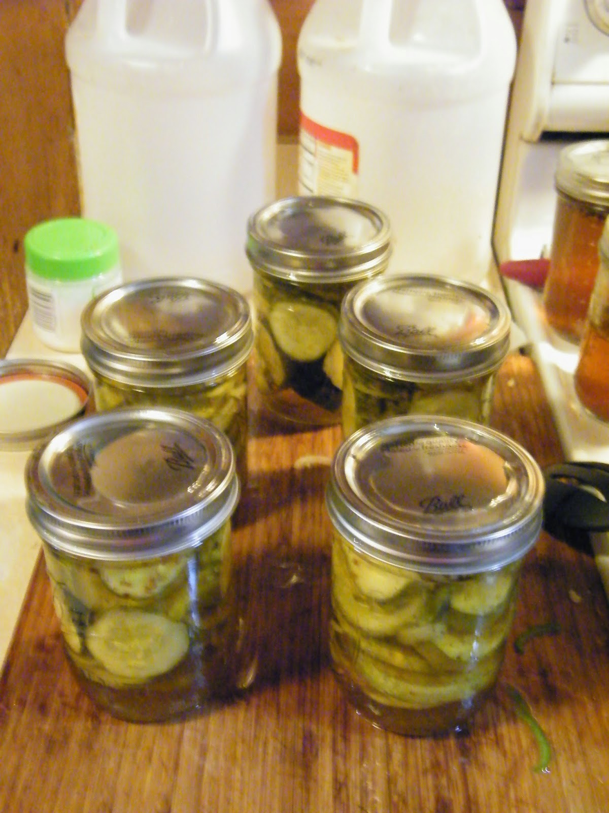 Veronica the Lazy Diva's Quasi-Crafty Blog: Here we go again ...