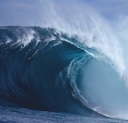 Brush with the Sea: The World's Most Beautiful Wave