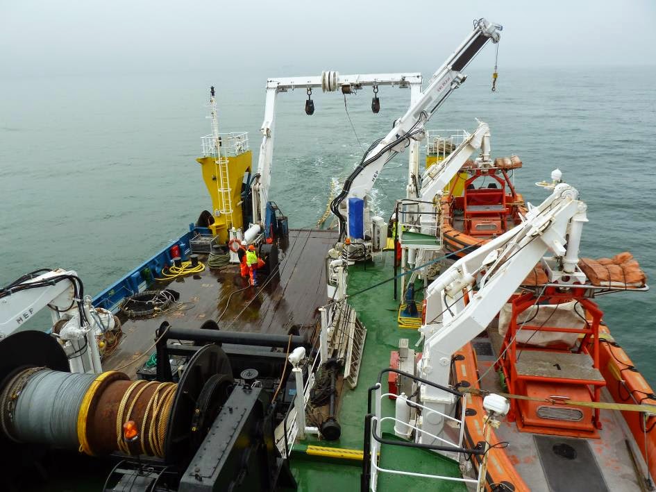 International Bottom Trawl Survey (IBTS): 2015