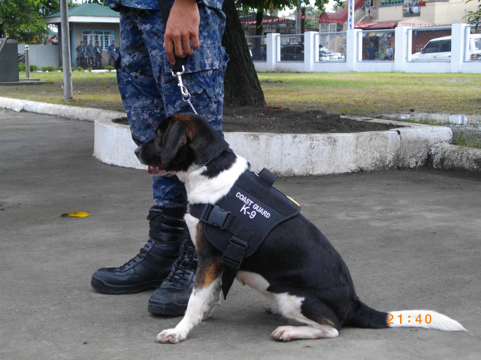 Khrysta's ARK: Aspins rewrite K9 history