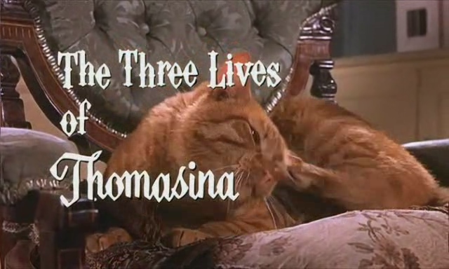 Mike's Movie Projector: Thomasina