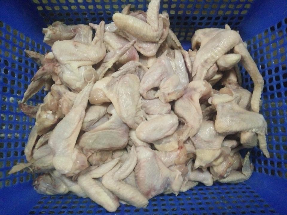 Ayam Segar Latif: Pembekal & Pemborong Ayam Segar Selangor