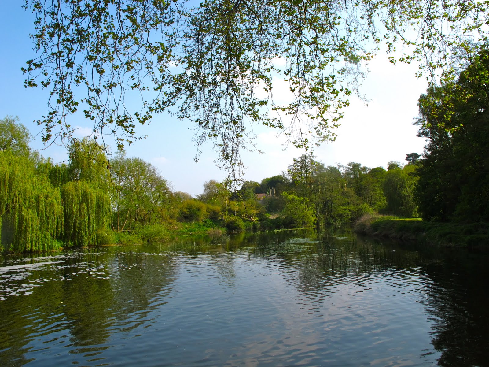 Soapsuds and Doodles: Details: Swedish Hasbeens for H&M clogs