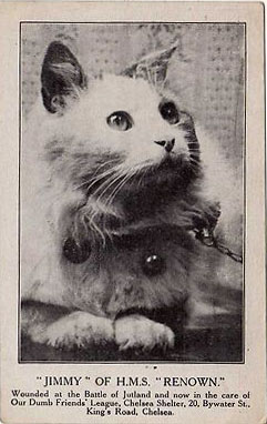 The Cuddlywumps Cat Chronicles: Jimmy the Cat: Mascot of the HMS Renown