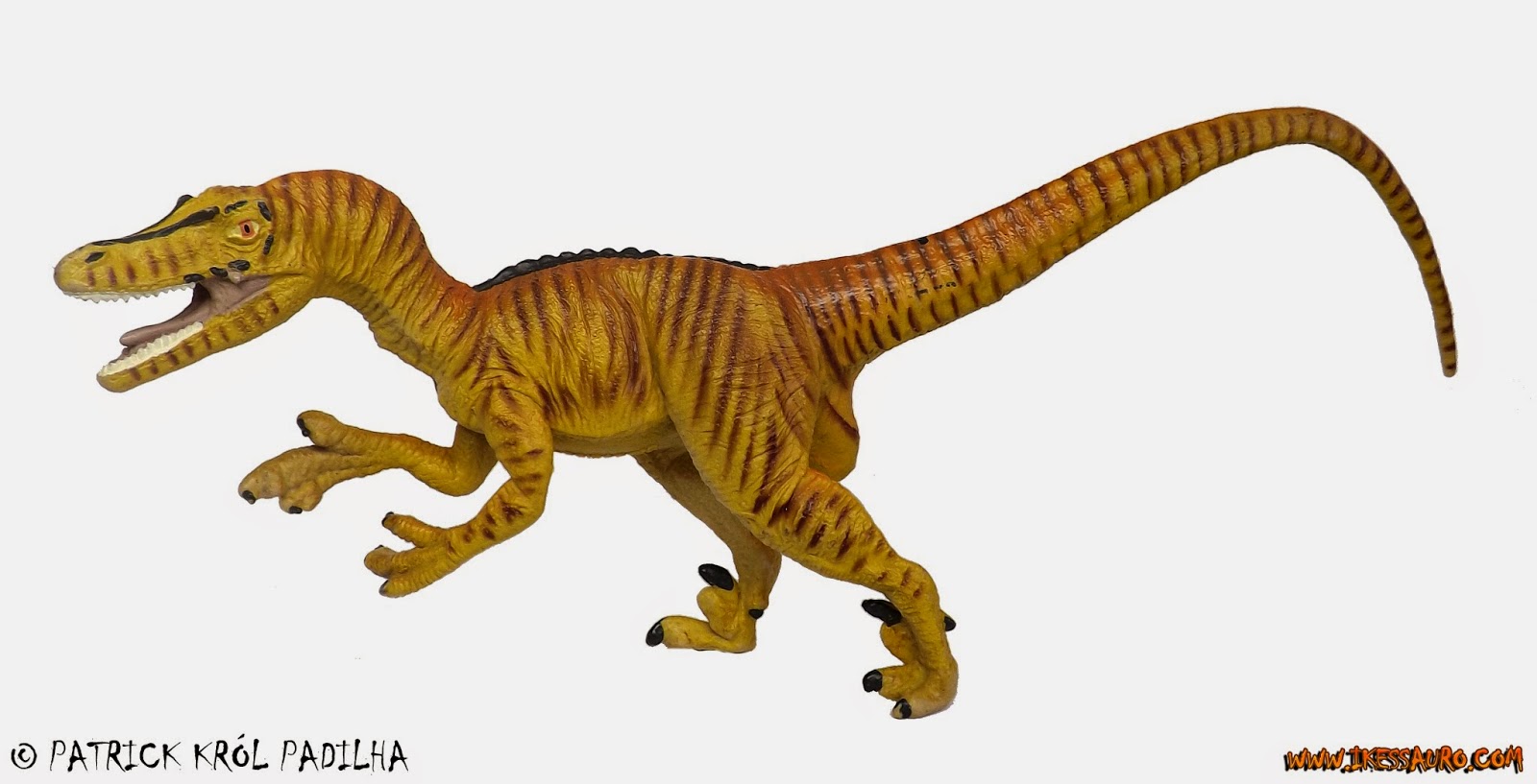 Velociraptor Speedy Predator (Safari Ltd.) | Ikessauro