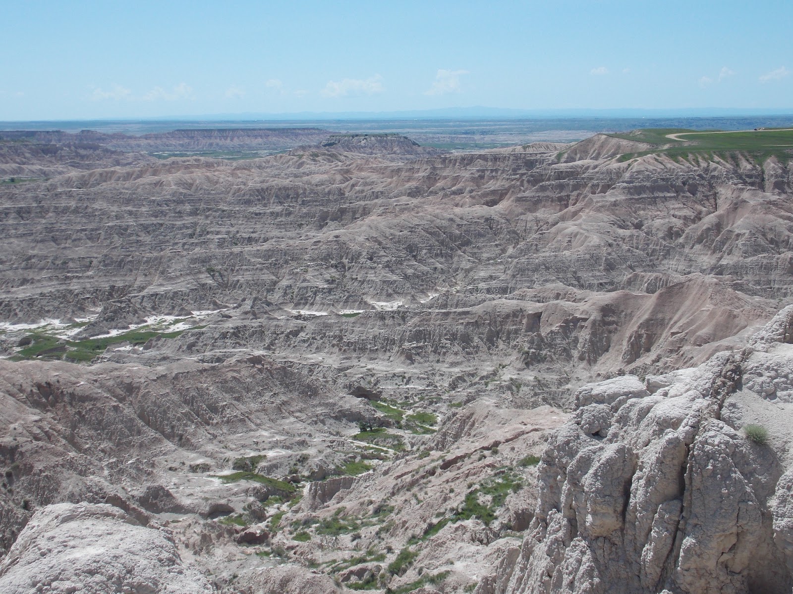 The Schramm Journey: Flora and Fauna in the Badlands