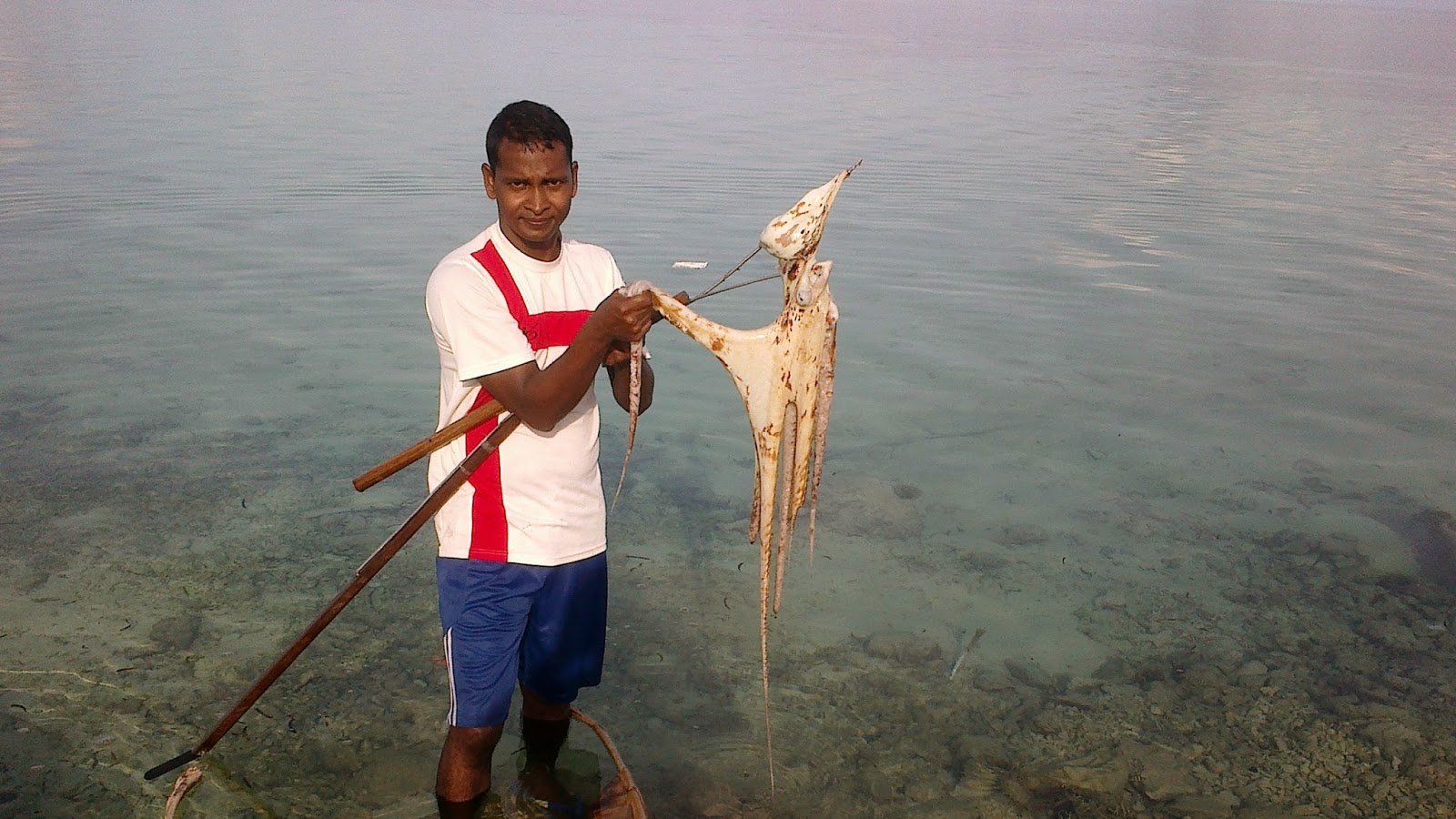 Meemu atoll fisheries science resources