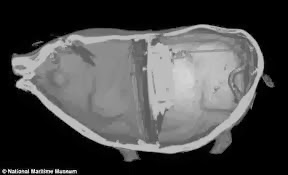 Lifetime Literacy: A True Story! Pig on the Titanic by Gary Crew ...