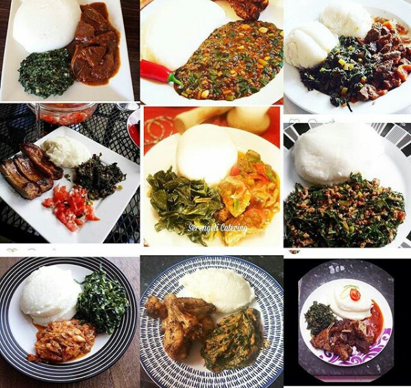 The Hungry Zimbabwean