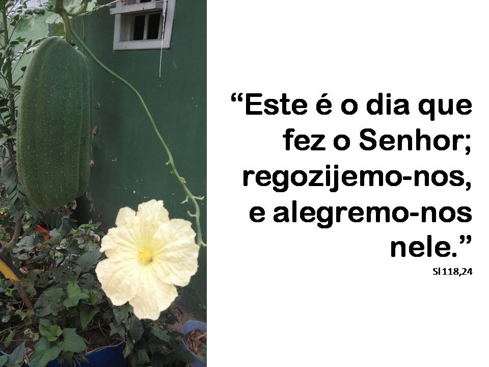 A Mão da Vida: Este é o dia que fez o Senhor A Mão da Vida: Este é o dia que fez o Senhor