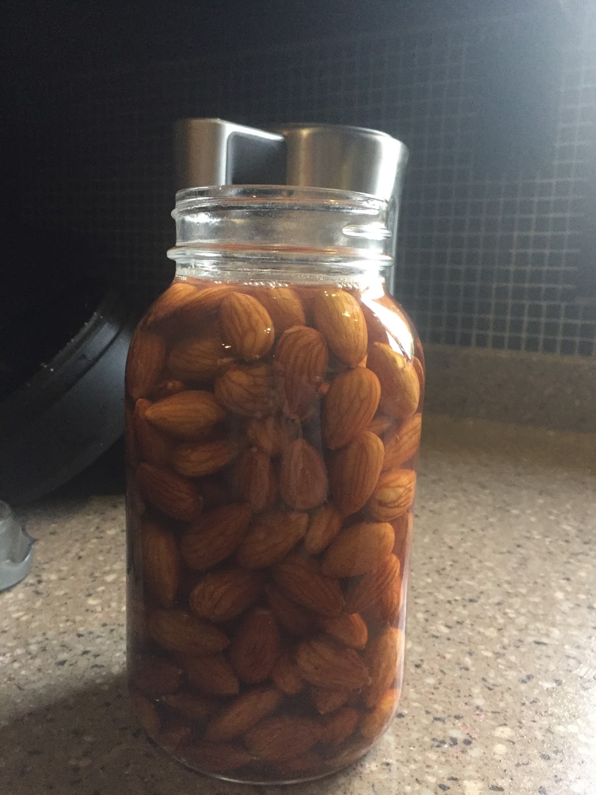 Tina's Adventures in Fermentation: Fermentationist Certification ...