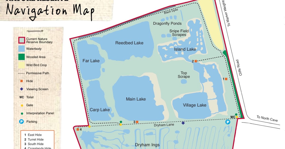 GeekTeacher's Birding Scrapbook: North Cave Wetlands YWT