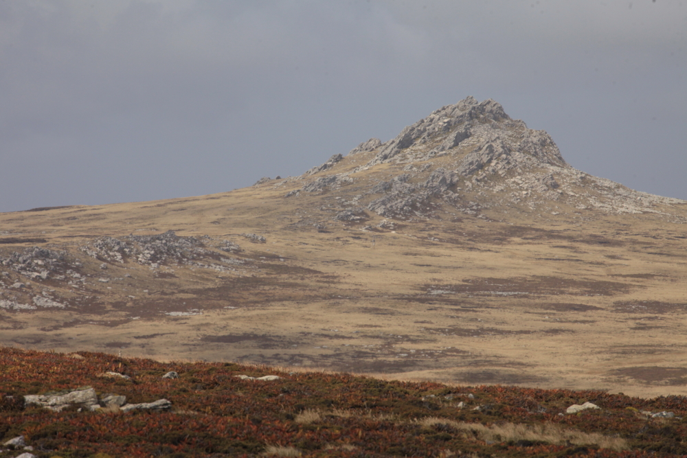 Earthly Musings - My Travel and Geology Blog: Final Stop - The Falkland ...