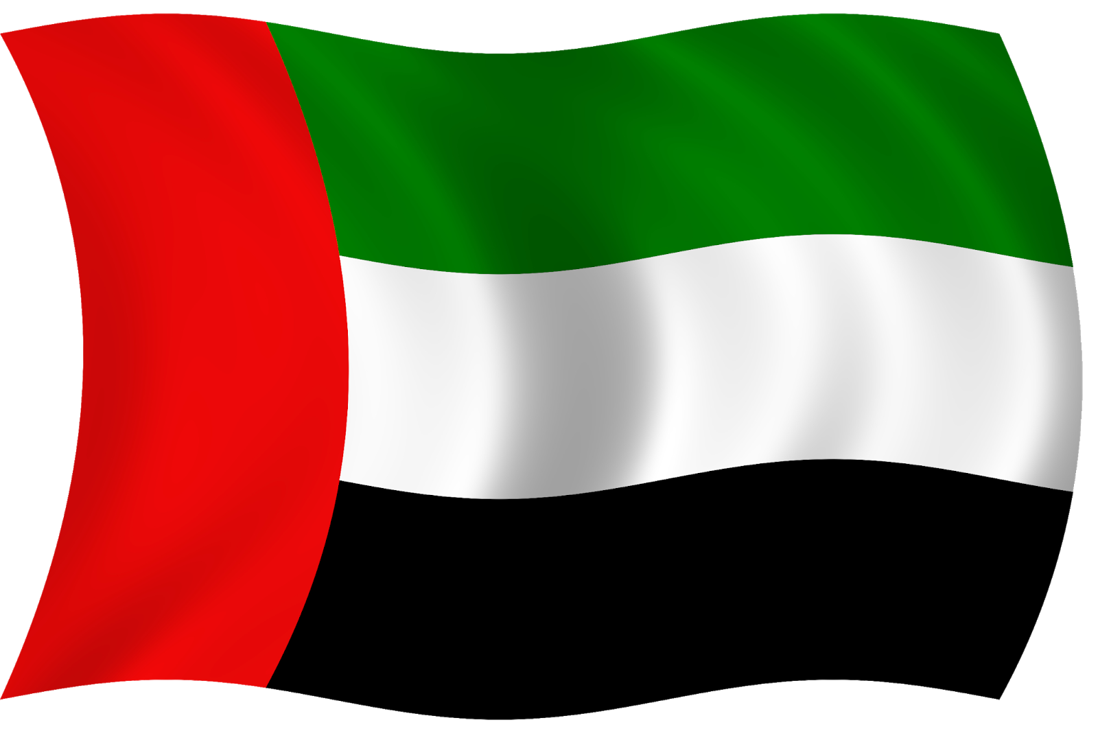 National Day Uae 2014 Logo