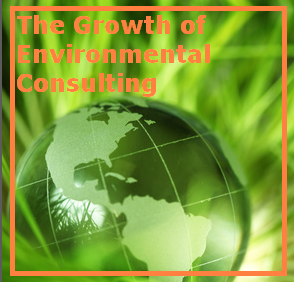 What Is An Environmental Expert And What Does She or he Do? – Tampa ...