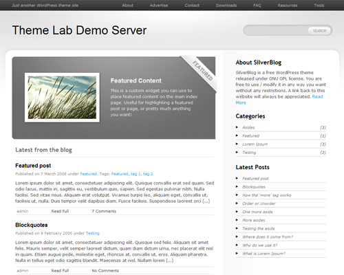 Free And Premium Themes: Silver Blog Wordpress Theme Download Free