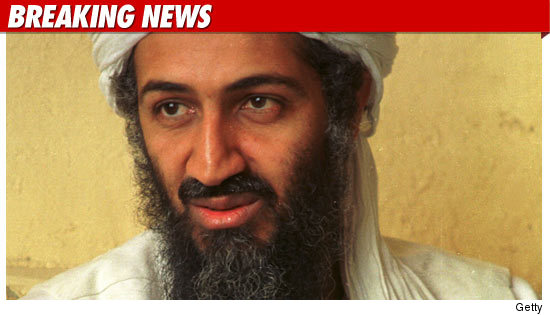 Celebrity Fashion Fame: Image in Laden mask