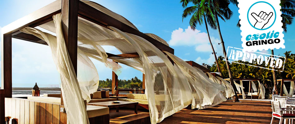 Exotic Gringo: Gringo Approved - Teso Waterfront Goa