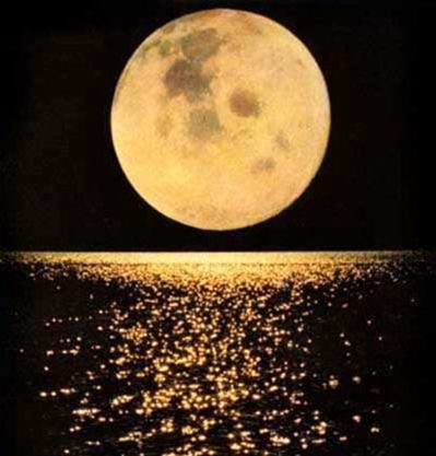 Biologia Paralela: POR QUE A LUA MANDA NO MAR?