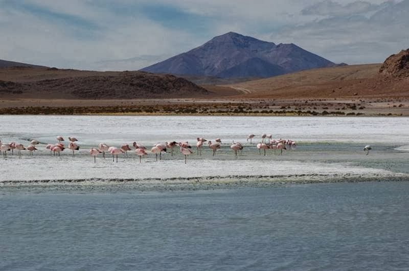 Lake Salar de Uyuni, Bolivia