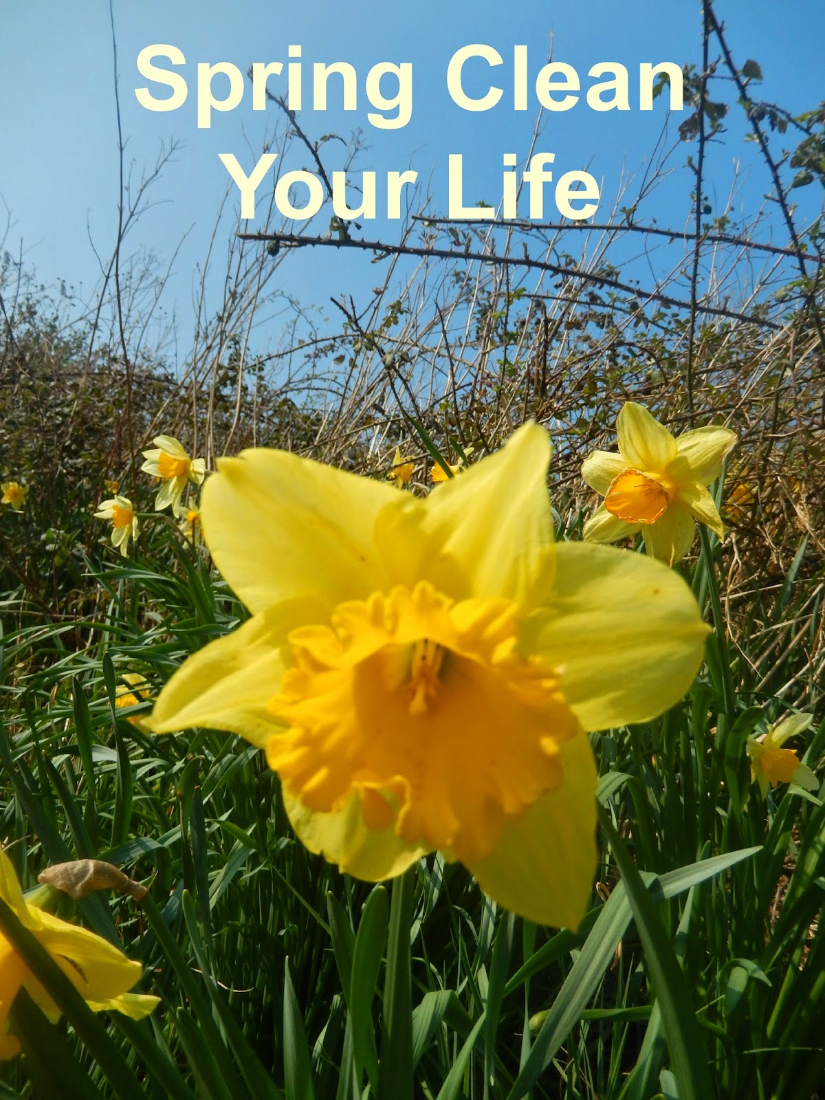 Spring Clean Your Life