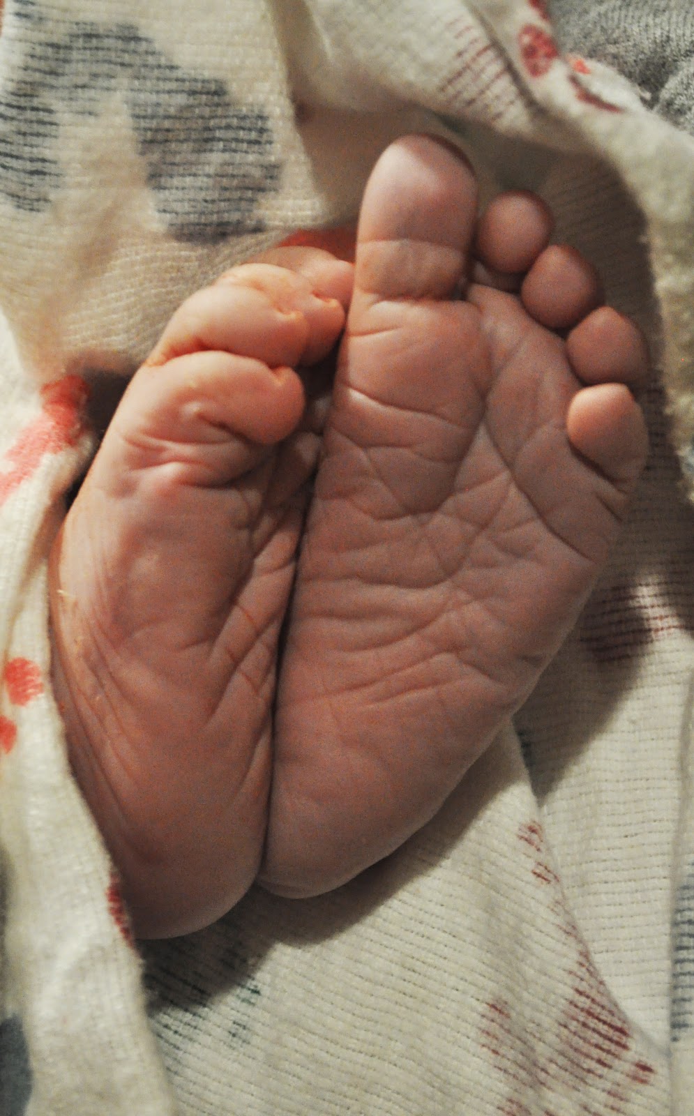 A Day in the Life of a Five Foot Mama: Bryleigh's Picture Perfect Birth ...