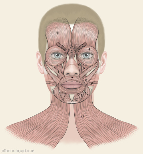 Jeff Searle: Facial expression