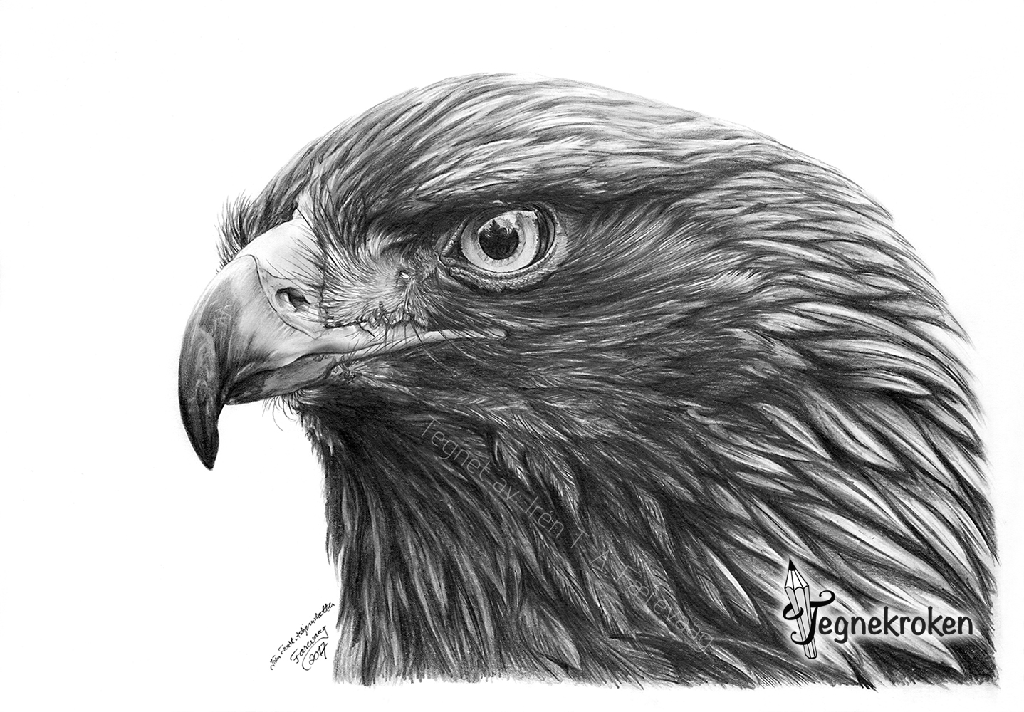 Tegnekroken: GALLERI: Dyr og fugler
