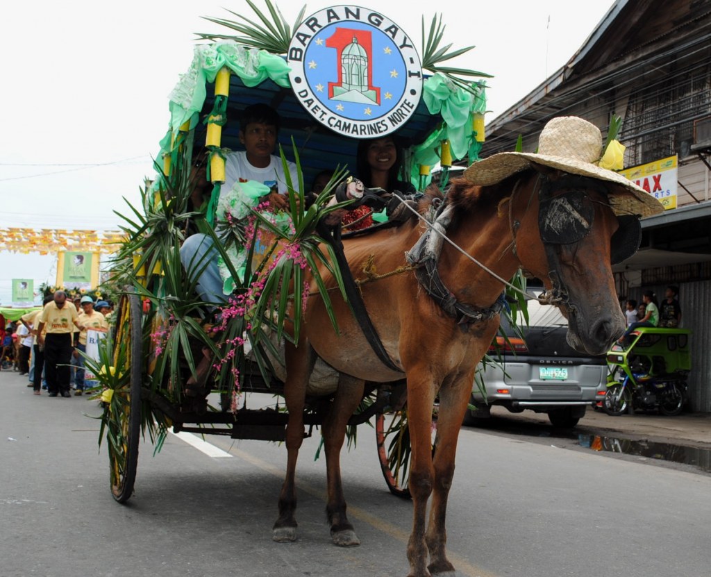 The Philippines Best Places: Philippine Fiesta's and Festival
