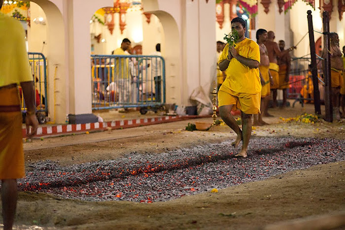 postcards from singapore: theemithi : hindu fire walking festival