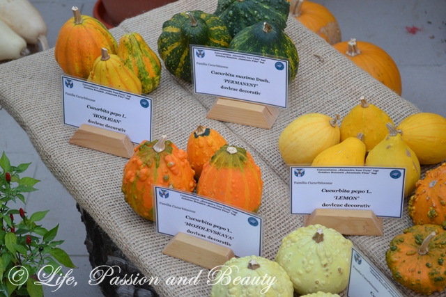 Expozitia de flori, fructe si seminte - Life, passion and beauty