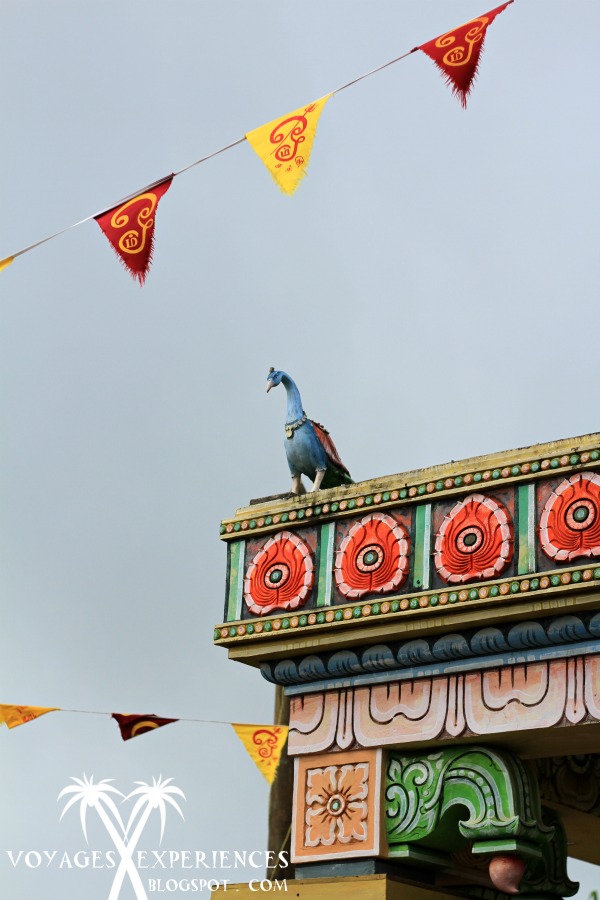 Voyages et Expériences : Katti Poosai ou Marche sur les Sabres à l'île ...