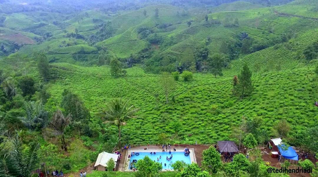 Juara Wisata Kebun Teh di Jawa Barat yang Wajib Anda Kunjungi Saat ...