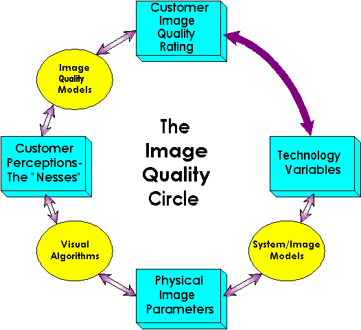 Quality Circles and Feedback Loops