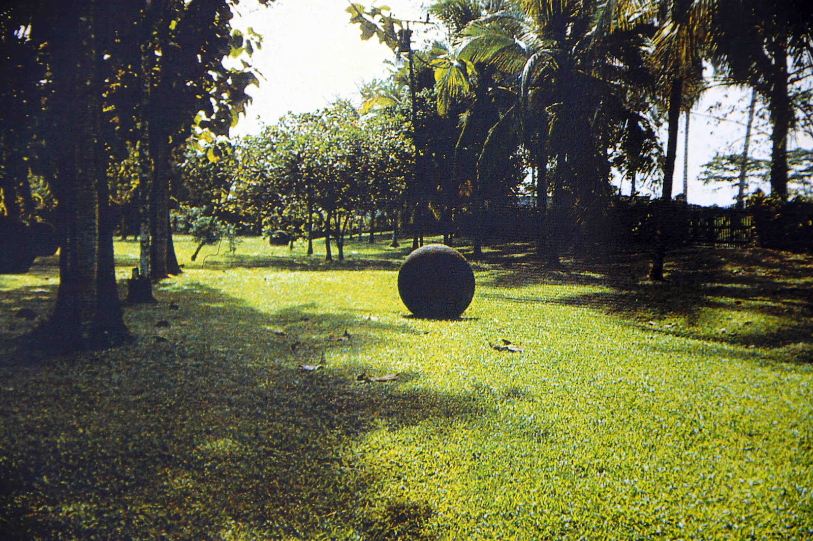 Ricardo Vilchez Navamuel