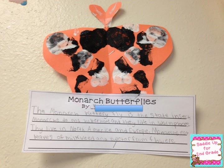 Texas Our Texas - Saddle Up for 2nd Grade