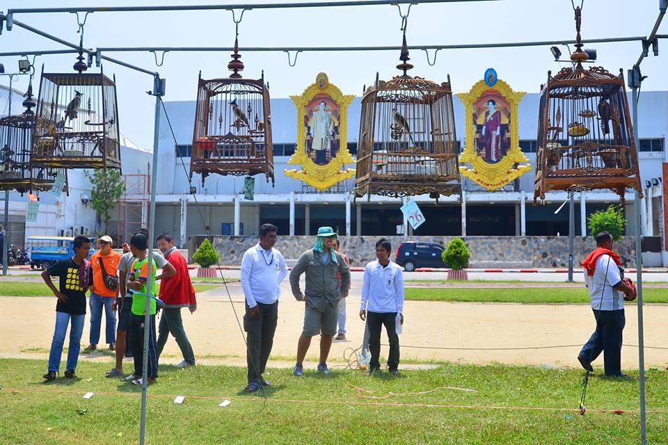 Janine Art Exhibition: งานมหกรรมแข่งขันนกเขาชวาเสียงอาเซียน:ASEAN ...