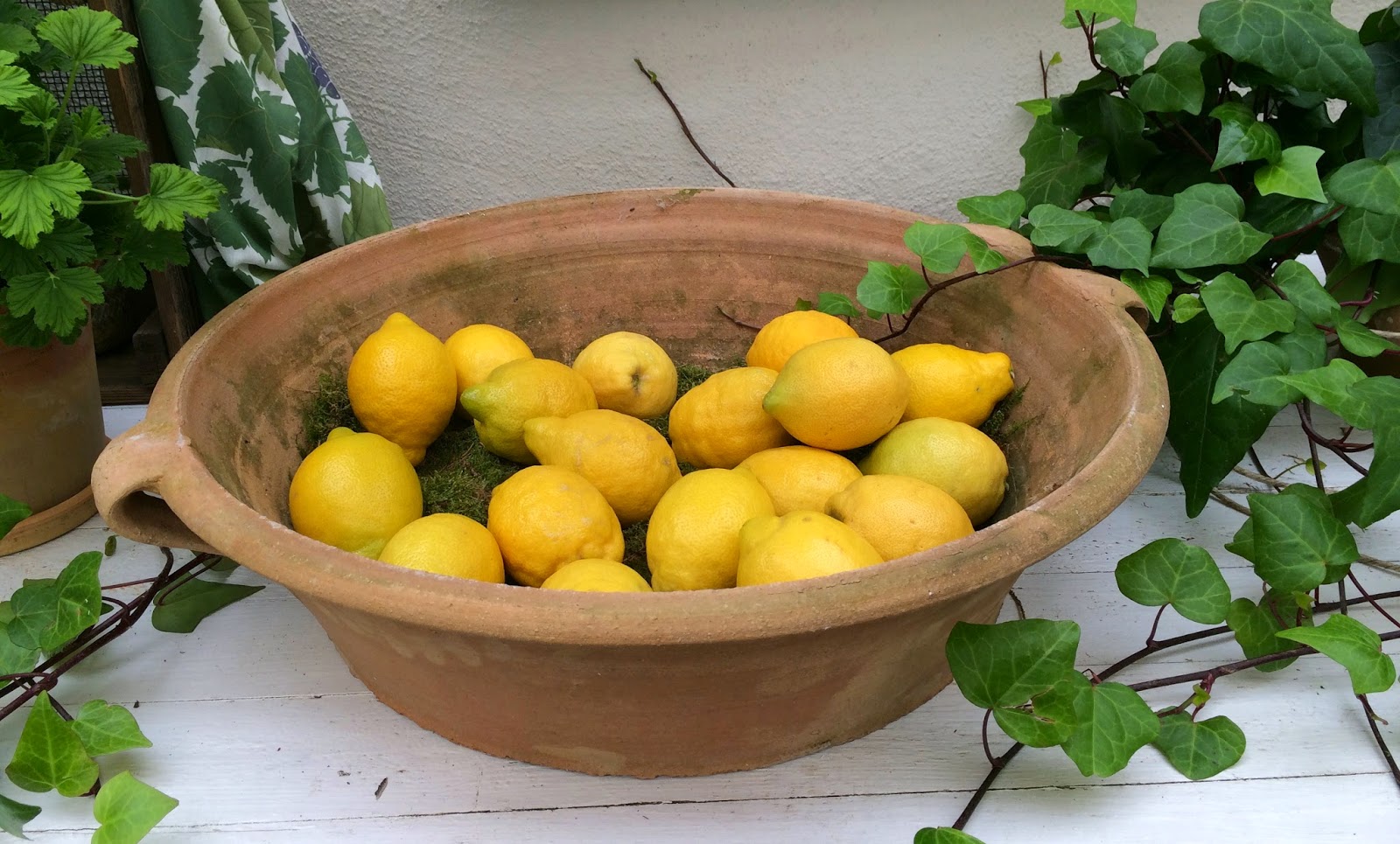 citron-timjan: INSALTADE CITRONER