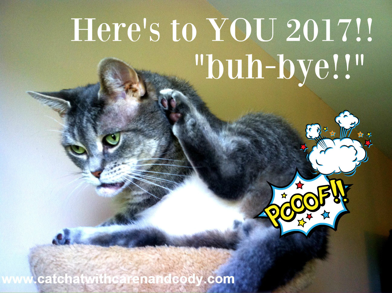 Cat and DOG Chat With Caren: Adios 2017 with our Blessings!