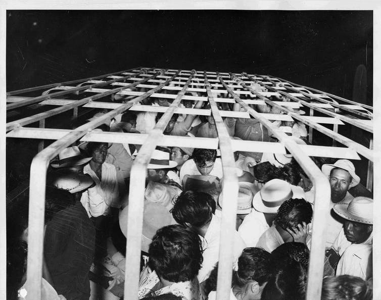 Hullabaloo: "Very nice and very humane" mass deportation