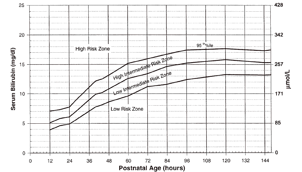 Ongzi's Lifelong Learning: 新生嬰兒黃疸 Neonatal Jaundice