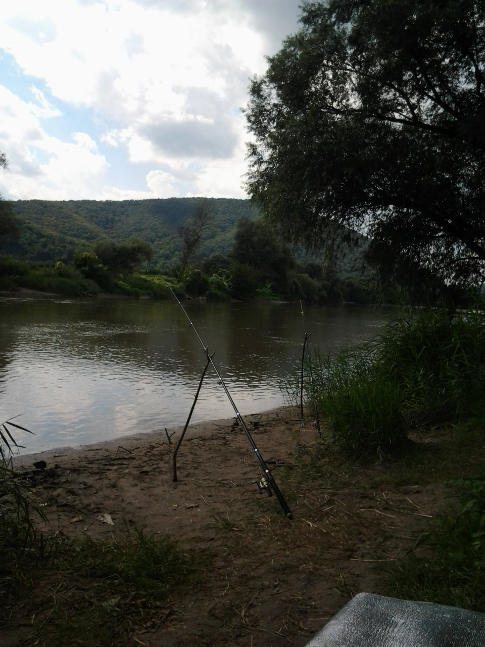 PESCARUL SINGURATIC: Partida de pescuit pe raul Mures la Burjuc -Jud ...