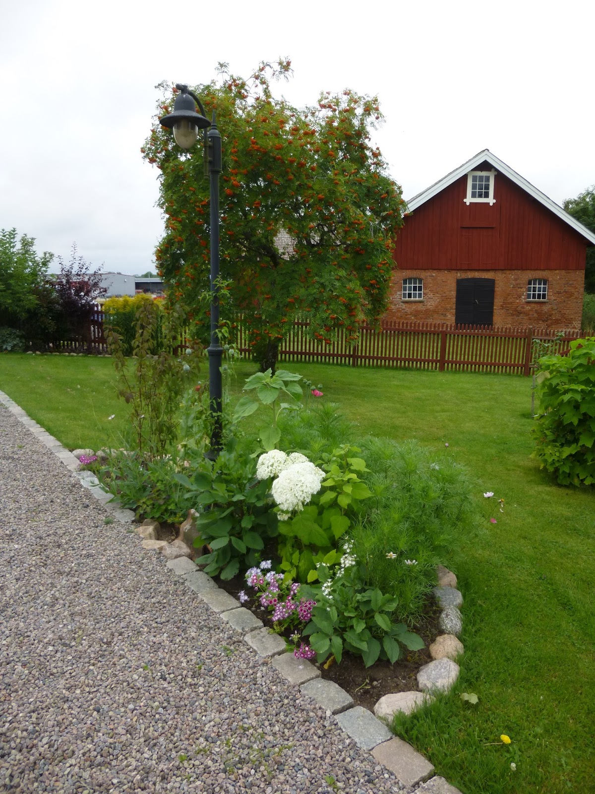 Barfota i mossan: Härliga hortensia!