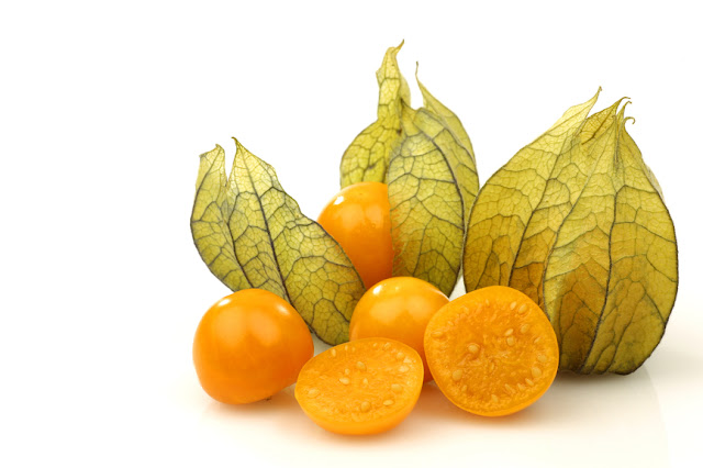 7 benefícios do Canapum (Physalis angulata) para sua saúde (O sexto é ...