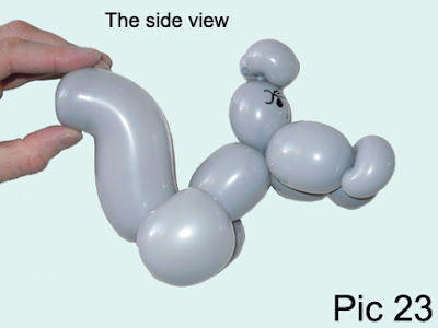 CLASSICAL: Balloon squirrel