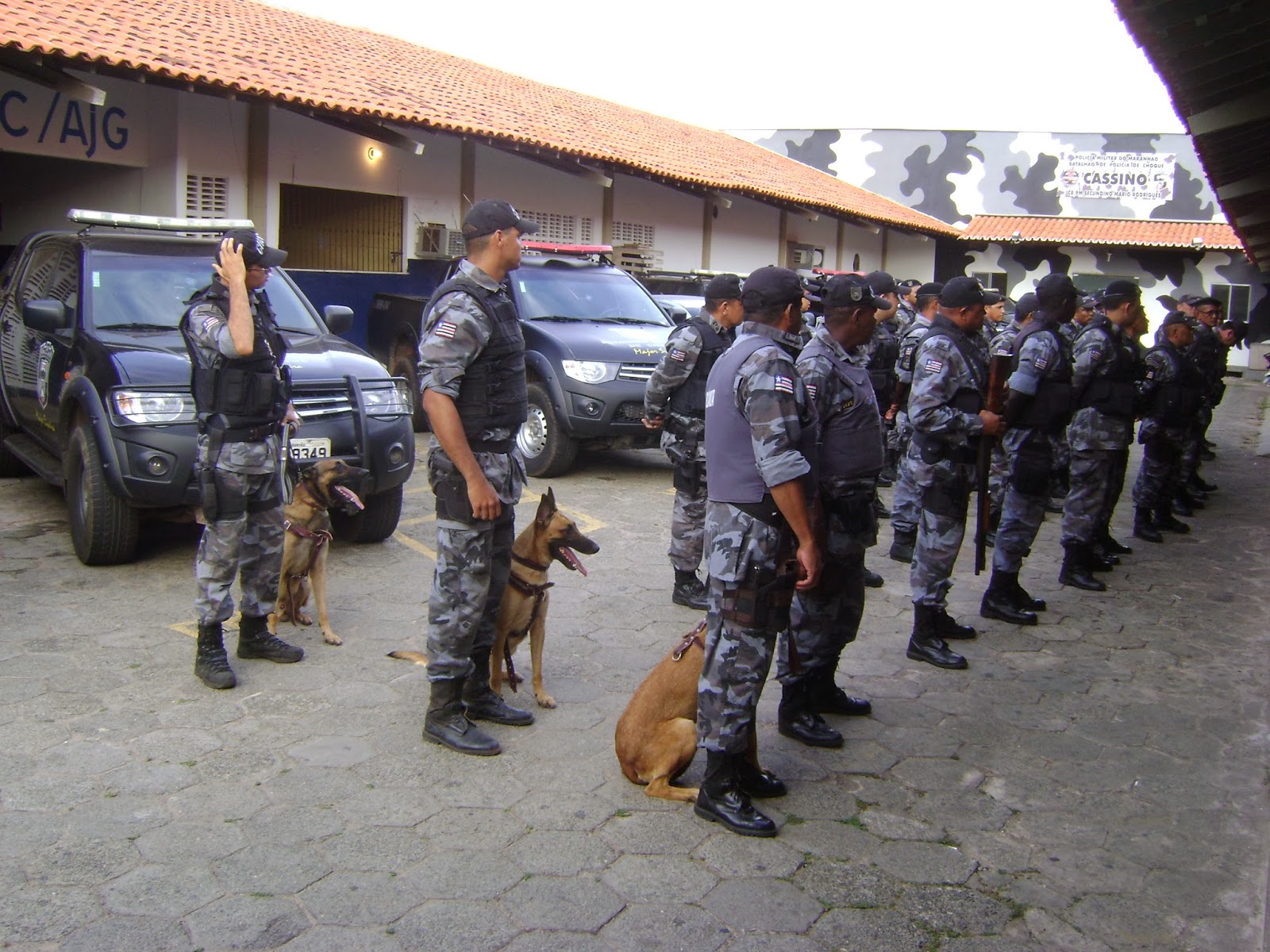 Canil BP Choque PMMA