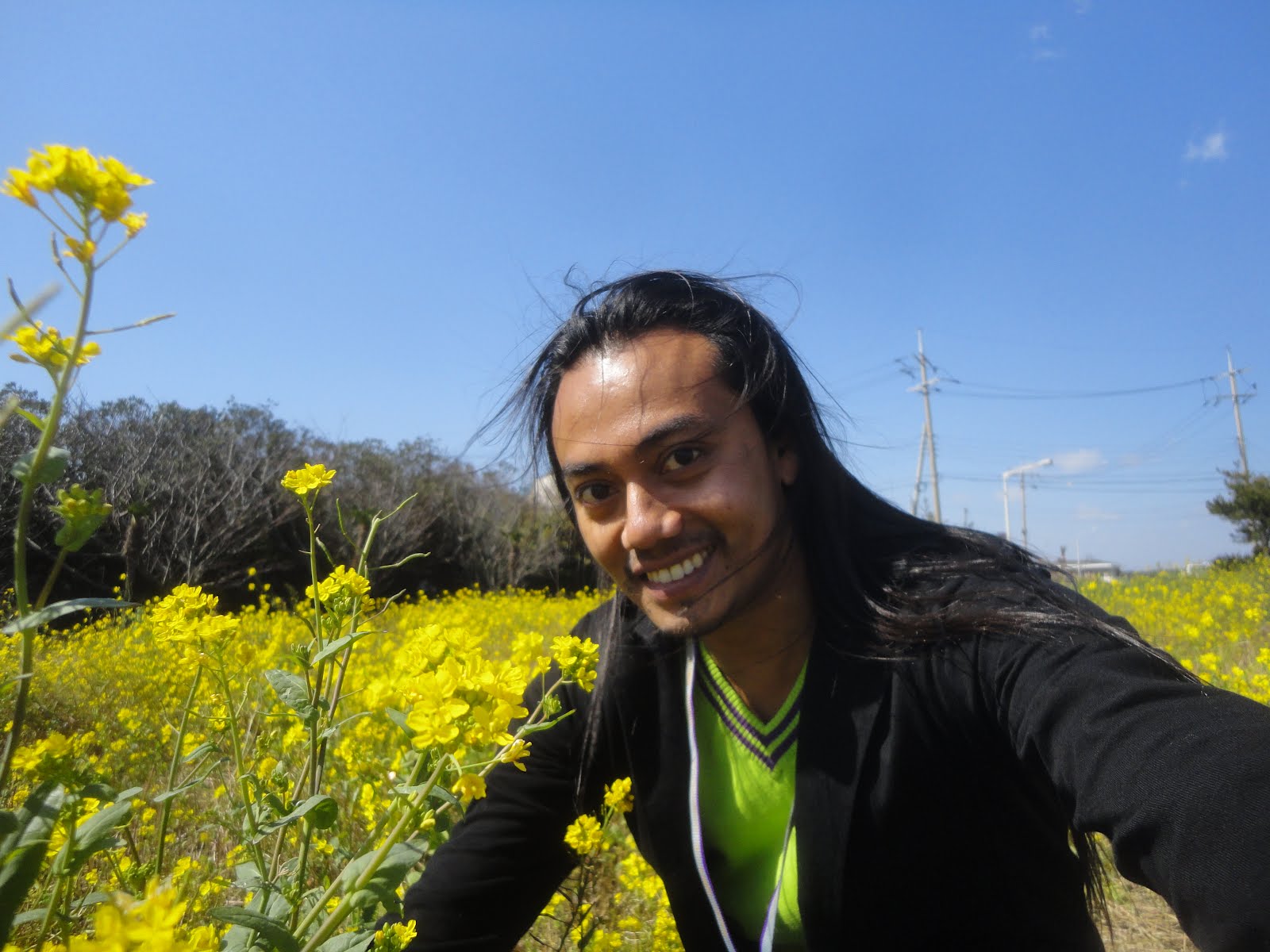 apple muslim holiday: KOREA JEJU - PESTA TULIP AWAL MUSIM BUNGA