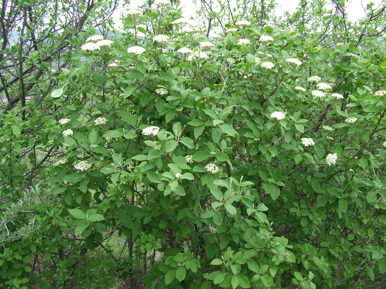 Timp liber: Posibile confuzii