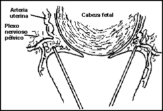 PRACTICA DE ENFERMERÍA EN LA SALUD REPRODUCTIVA: AUTOCUIDADO DE ...